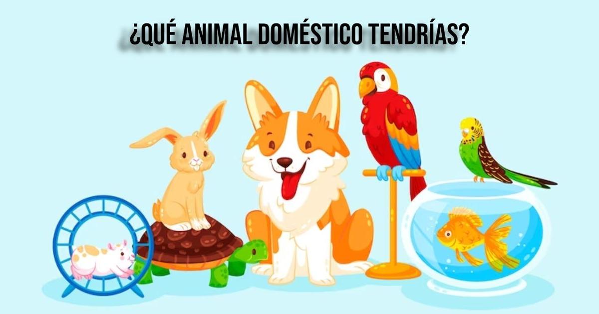 Dinos qué animal te gustaría tener en casa y descubre tu mejor virtud y ...