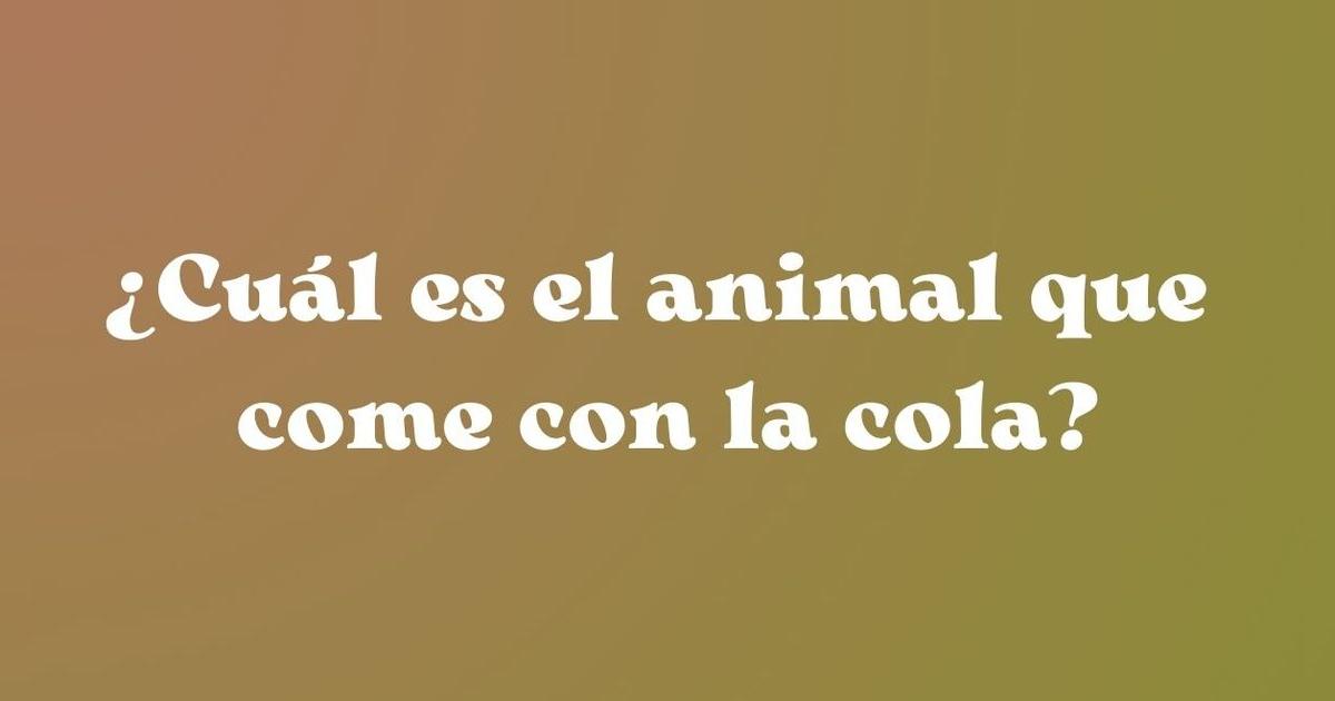 ¿Qué animal come con la cola? Solo tienes 5 segundos para responder