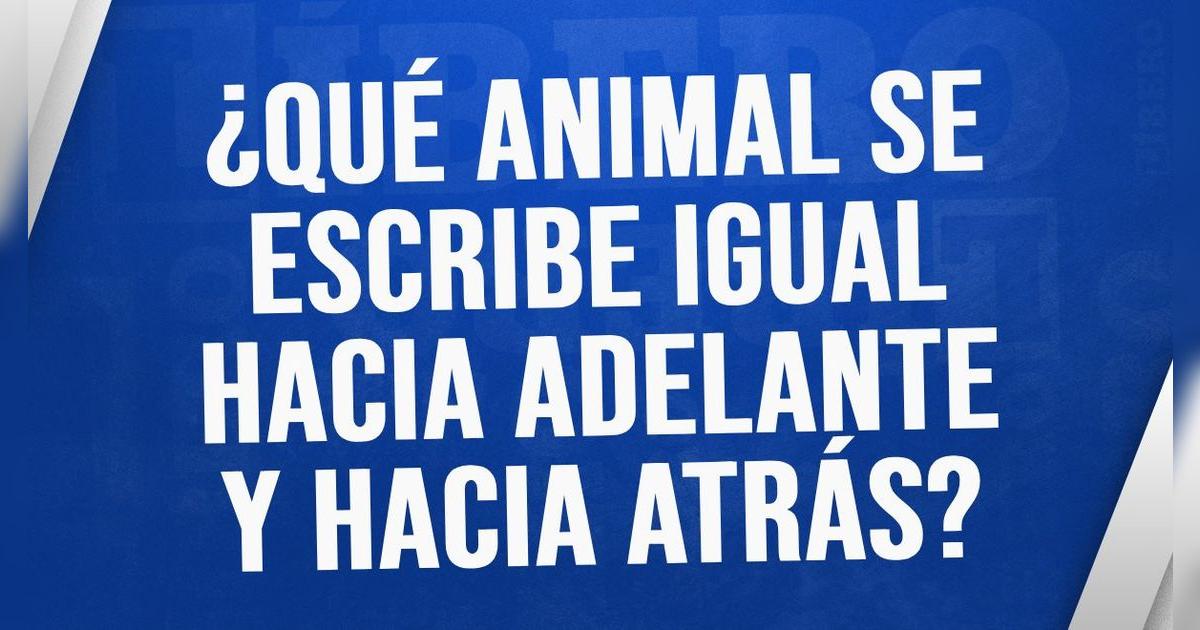 El acertijo viral que pondrá a prueba tu lógica: ¿A qué animal se refiere?