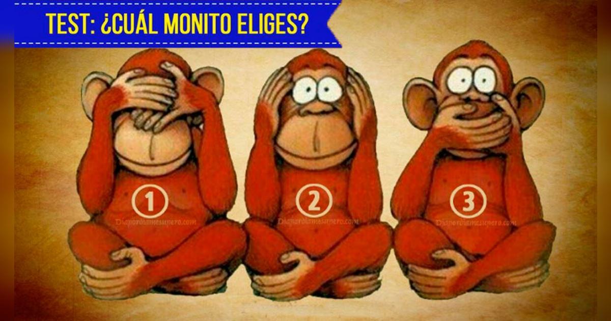¿Qué mono te gusta más? Tu elección revelará si eres una persona en la ...