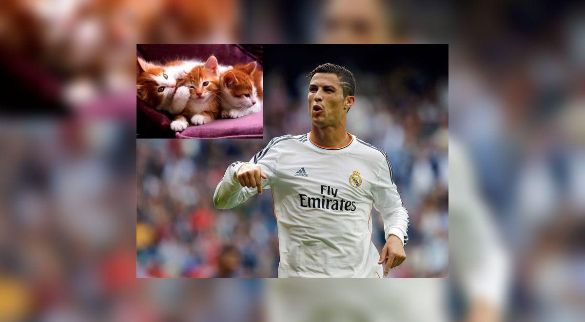 Cristiano Ronaldo es considerado como el astro que convierte a los ...