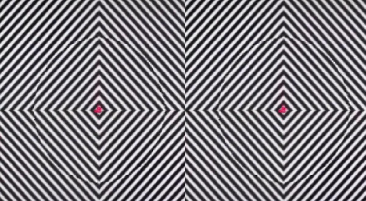 Ilusión óptica EXTREMA: mira por 25 segundos el video y todo se moverá ...