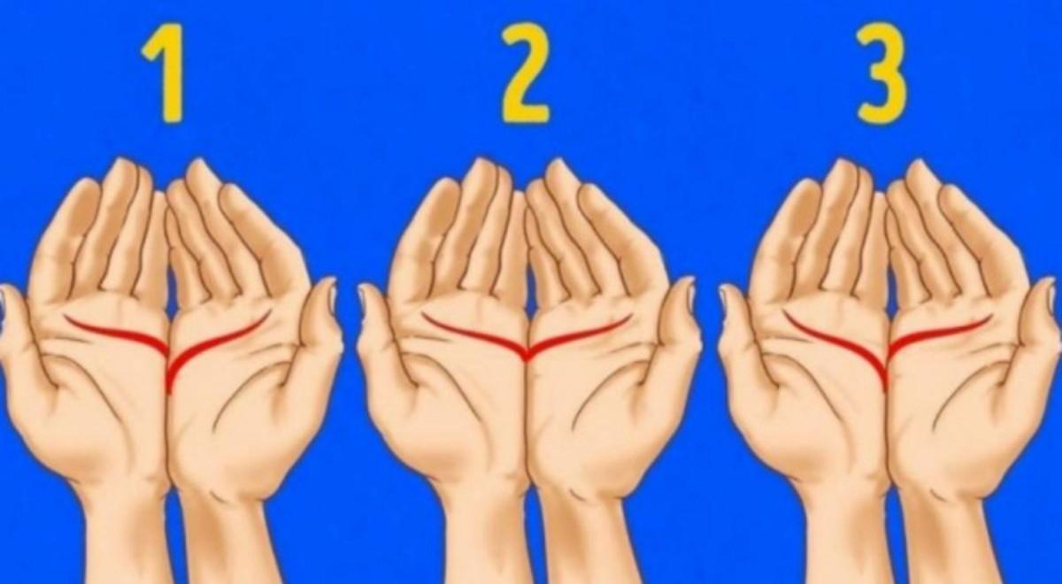 ¿Cómo son las líneas de tu mano? Este test de personalidad revelará tu ...