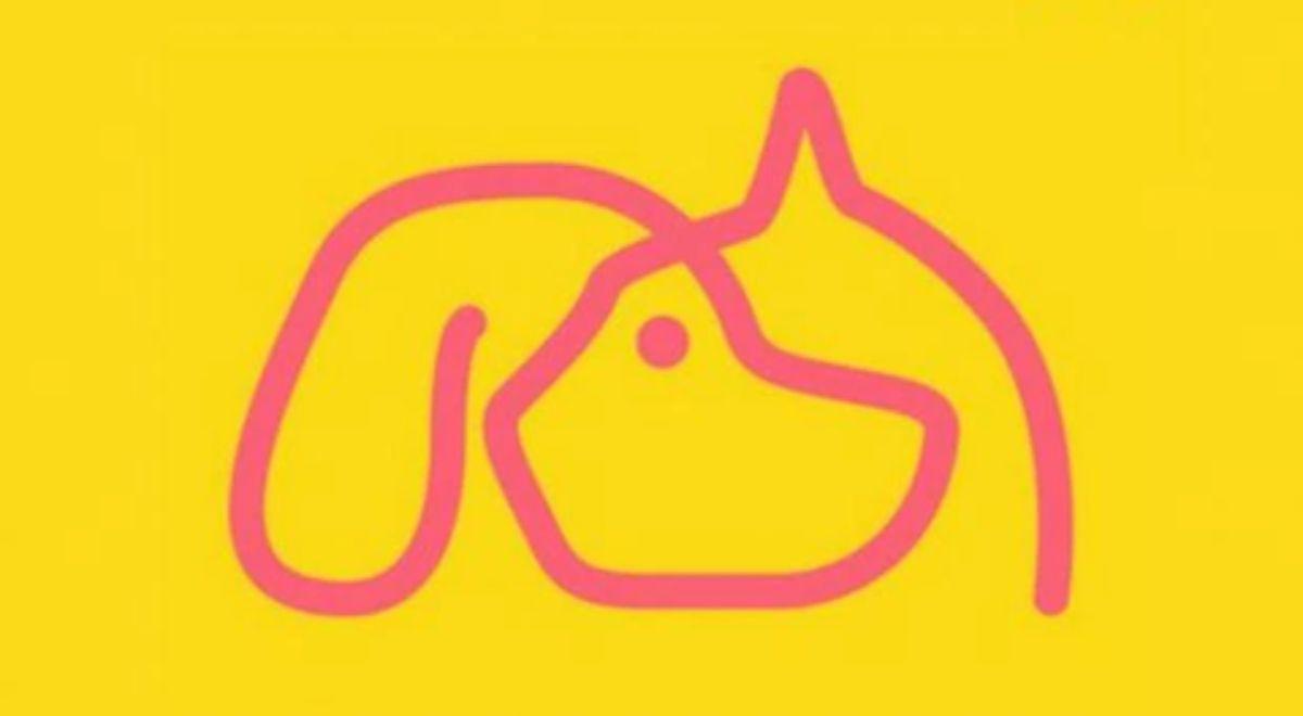 ¿Eres una persona amable? El primer animal que veas revelará detalles ...