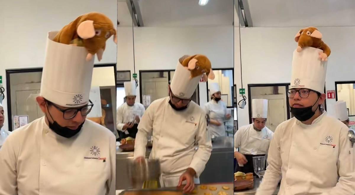 'Chefsito' aparece encima de estudiante de gastronomía y usuarios ...