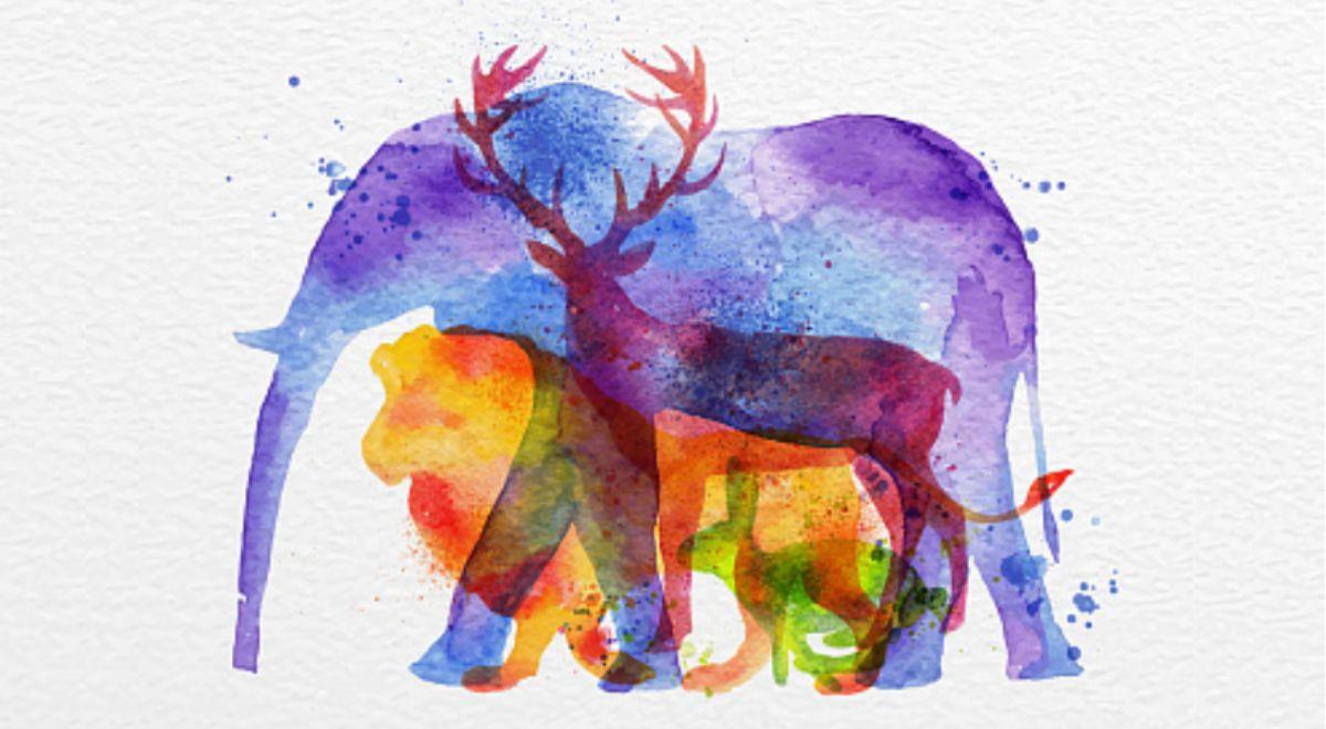 ¿Qué animal te gusta más? Este test revelará si eres una persona ...