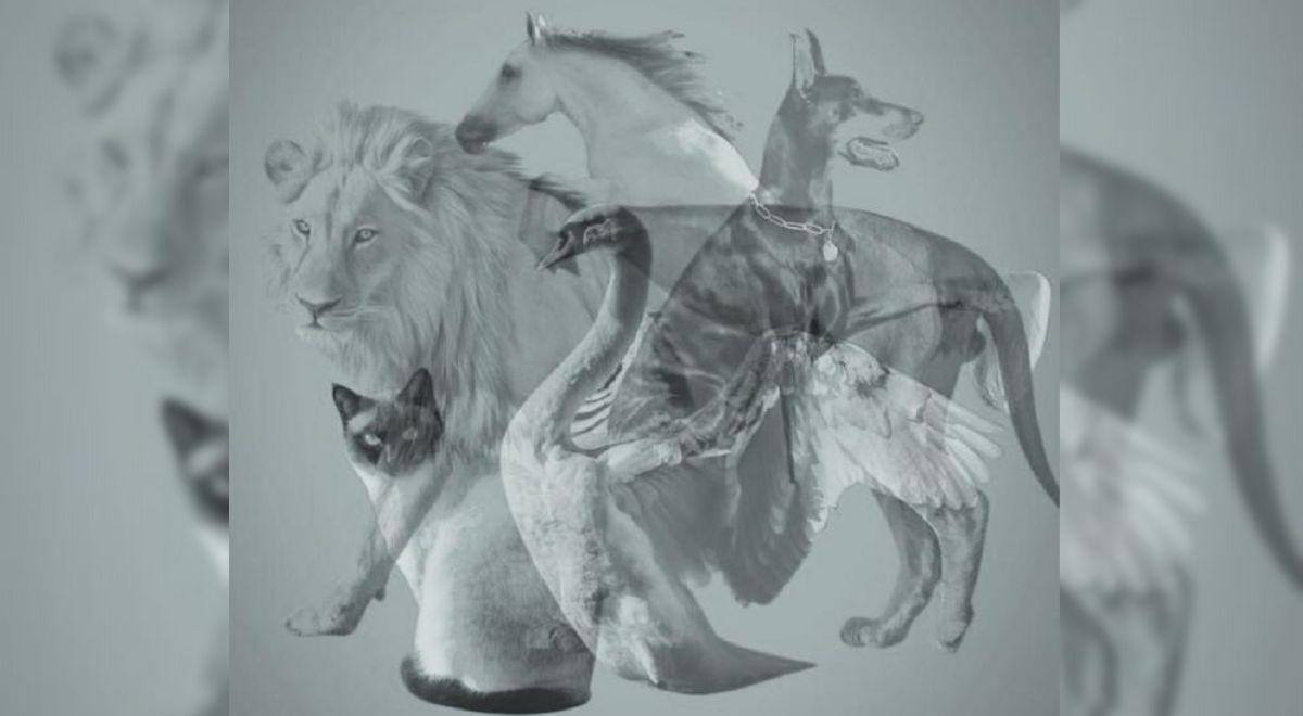 ¿Cuál fue el primer animal que viste? Este test revelará si eres una ...