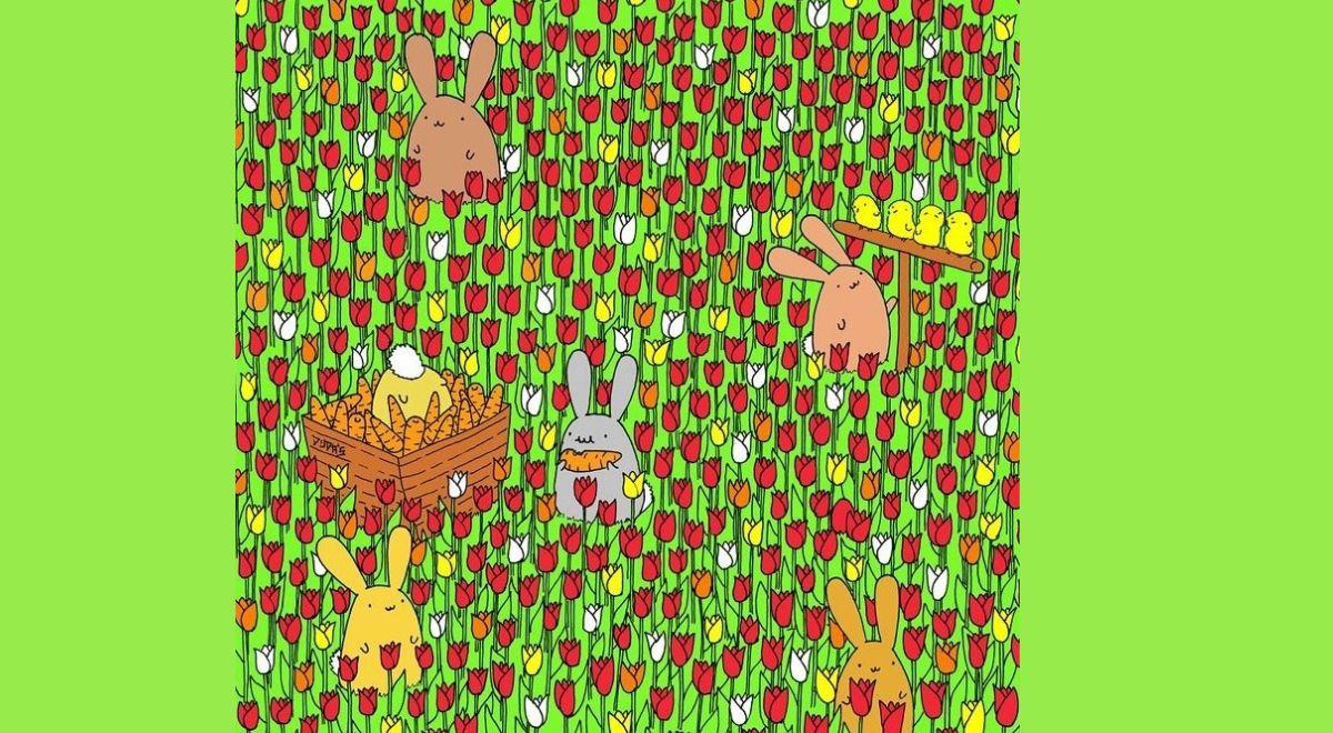 Reto visual para GENIOS: ¿Encontrarás el huevo de pascua en 10 segundos?