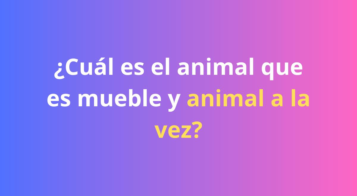 ¿Cuál es el animal que es mueble y animal a la vez? Solo los GENIOS ...