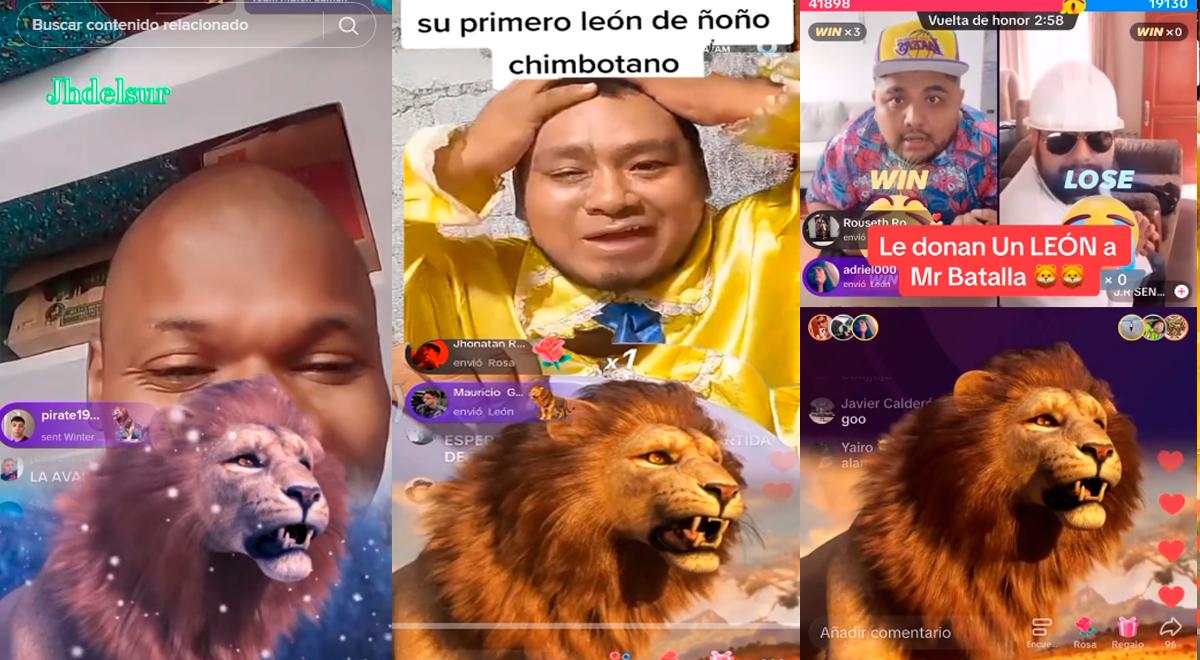 ¿Cuánto cuesta un 'león' en TikTok y por qué los streamers se 'alocan ...