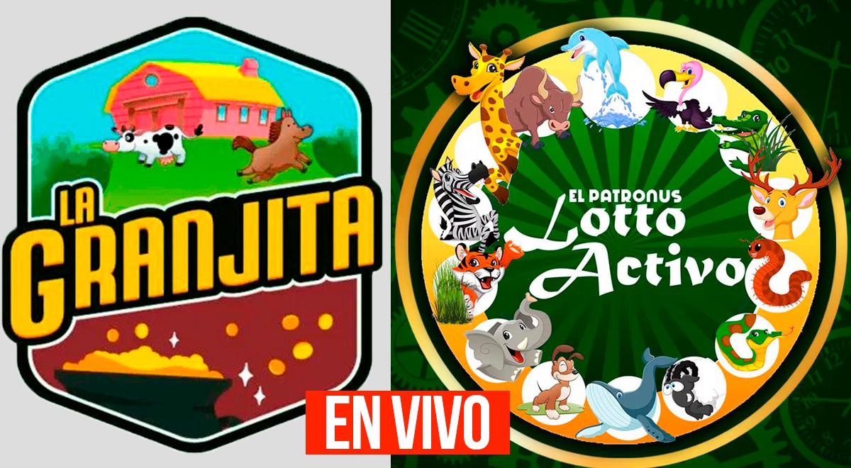 Resultados de los animalitos de HOY en lotto activo y granjita: datos ...