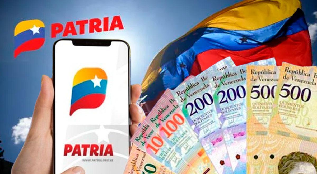 Bonos Patria: Estos son los 5 PASOS IMPORTANTES que debes seguir para ...