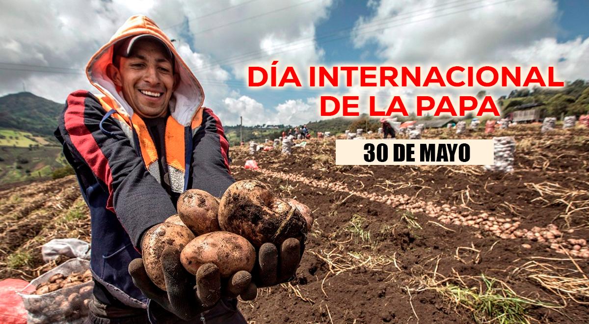 Día Internacional de la Papa: las mejores frases e imágenes para ...