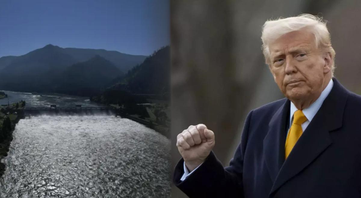 Donald Trump le da la espalda al salmón: gobierno de Estados Unidos ...