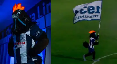 Gallo Negro, mascota de Alianza Lima, fue presentado con un claro ...