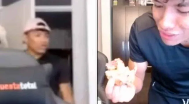 dota 2 streamer peruano se ausenta y su perro le roba la comida buti