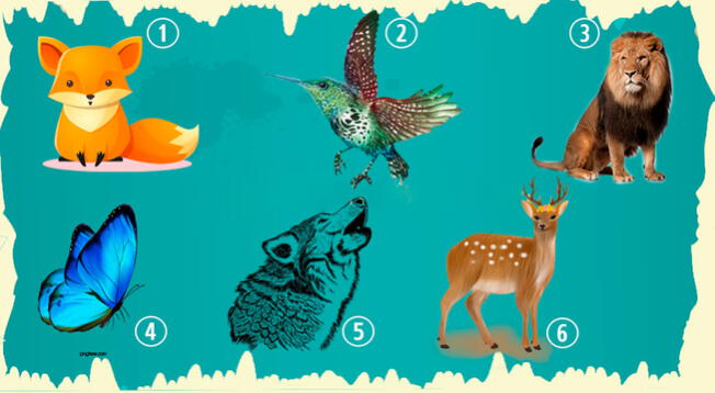 ¿Con qué animal te identificas? Escoge el que más te guste y descubre ...