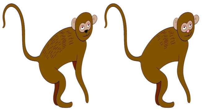 ¿Podrás encontrar las 3 diferencias entre los monitos? Solo los genios ...