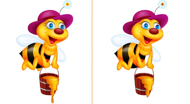 Diviértete ubicando los 5 aspectos distintos del reto visual: Tienes 8 ...