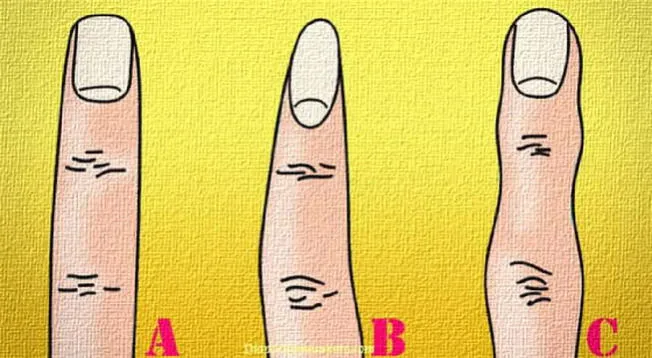 ¿Cómo es la forma de tu dedo? Tu respuesta revelará detalles inéditos ...