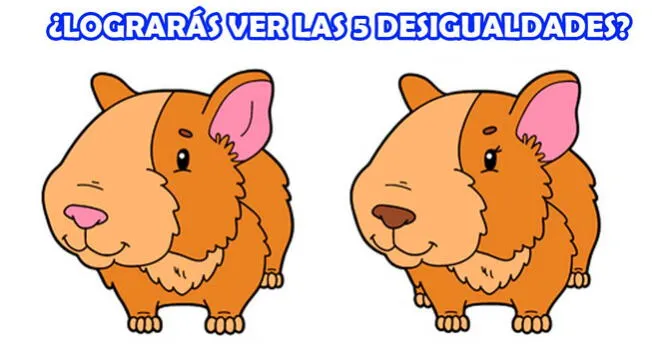 Solo el 1% superó este RETO VISUAL de nivel EXPERTO en segundos: el ...