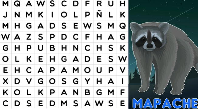 ¿Podrás encontrar la palabra 'mapache'? Solo un OJO DE HALCÓN lo logra ...