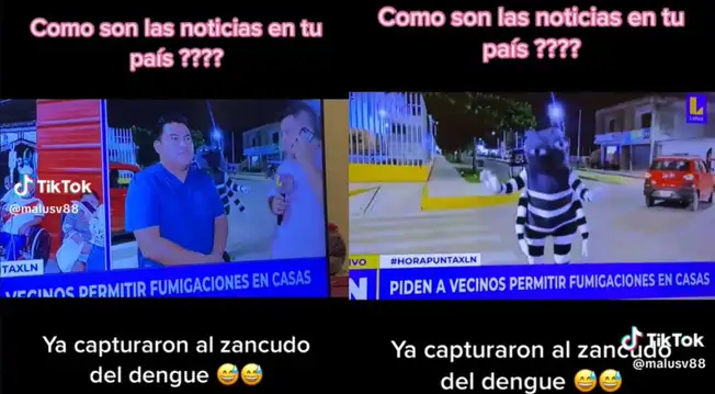 Se disfrazó de zancudo para alertar sobre el dengue: "Nunca te aburres ...
