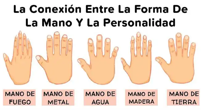 ¿En qué te destacas como persona según la forma de tu mano? Selecciona ...