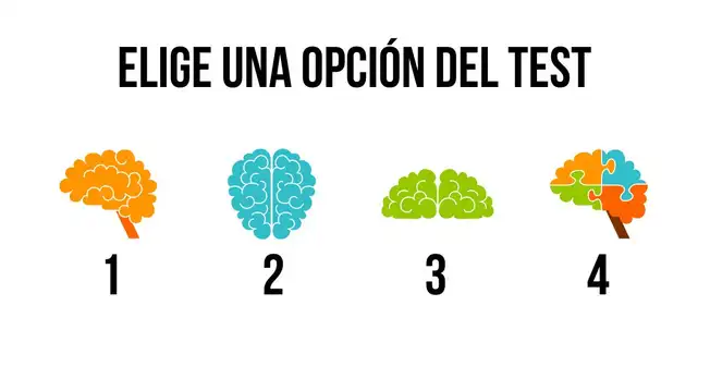 ¿Tu mentalidad es como la de alguien de 25 o 55 años? Elige un cerebro ...