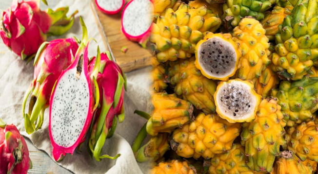 ¿Cuáles son los beneficios de consumir pitahaya? te sorprenderá con sus ...