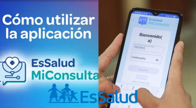 EsSalud aplicativo| ¿Cómo usar la app de ESSALUD para sacar citas y ...