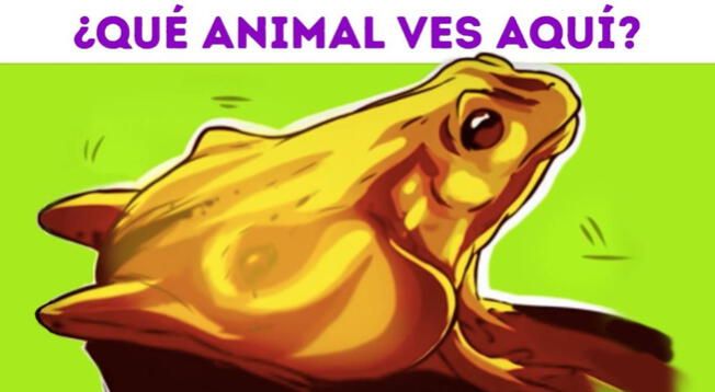 Test de personalidad: ¿Cuál es tu poder interior? El animal que veas en ...