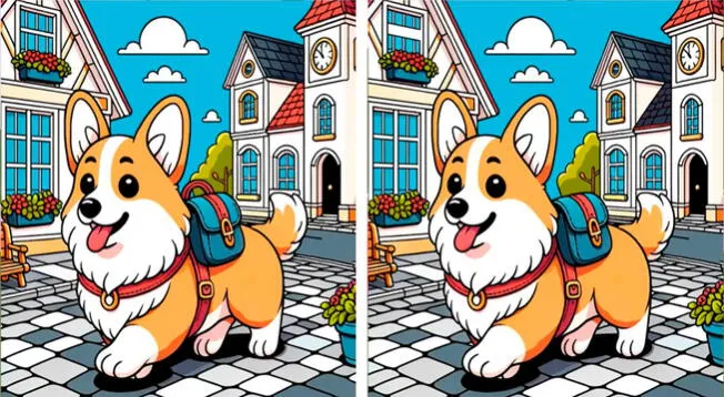 Reto visual: Demuestra que eres fanático de los retos extremos: ¿Dónde ...