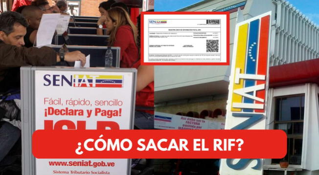 RIF por Seniat en línea: GUÍA para tramitar el Registro Único de ...
