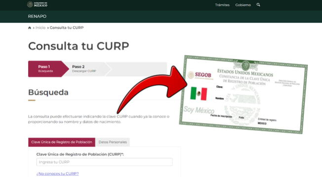 ¿Cómo descargar CURP gratis en PDF? Consulta e imprime el nuevo formato