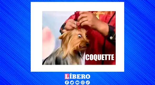Memes coquette: las mejores imágenes que invaden las redes sociales