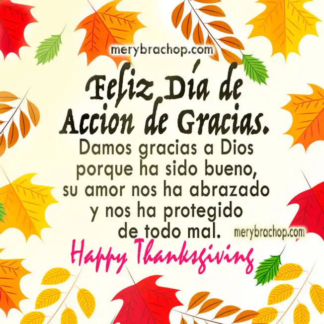 Frases Para El Dia Del Pavo