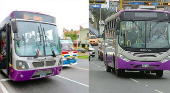 Corredor Morado: nueva ruta partirá de San Juan de Lurigancho hasta el ...