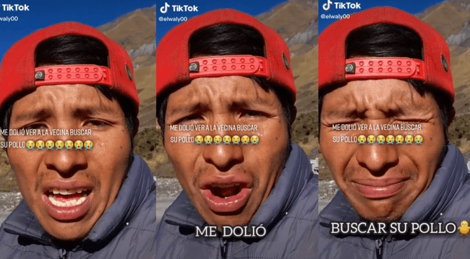 TikTok: Joven roba pollo de su vecina para completar su almuerzo y ...