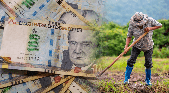 Bono Wanuchay Link Consulta AquÍ Si Eres Beneficiario De Los 350 Soles